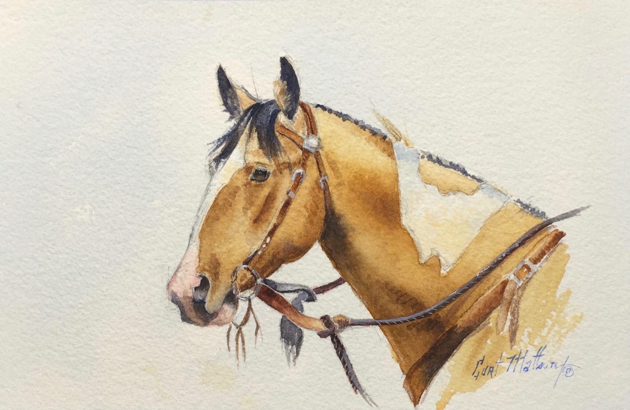 Curt Mattson Fine Art – Your Cowboy Art Adventure Awaits
